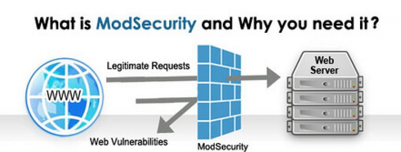מהו Mod_Security, למה צריך אותו? ואיך הוא מגן על אתרכם.... - עכבר המחשבים